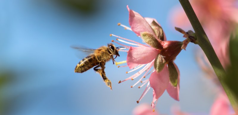 ETF AXA IM | AXA IM IT